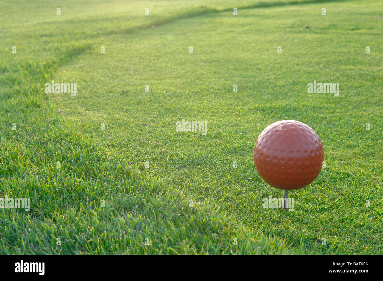 Golf ball on golf course, close-up Stock Photo - Alamy