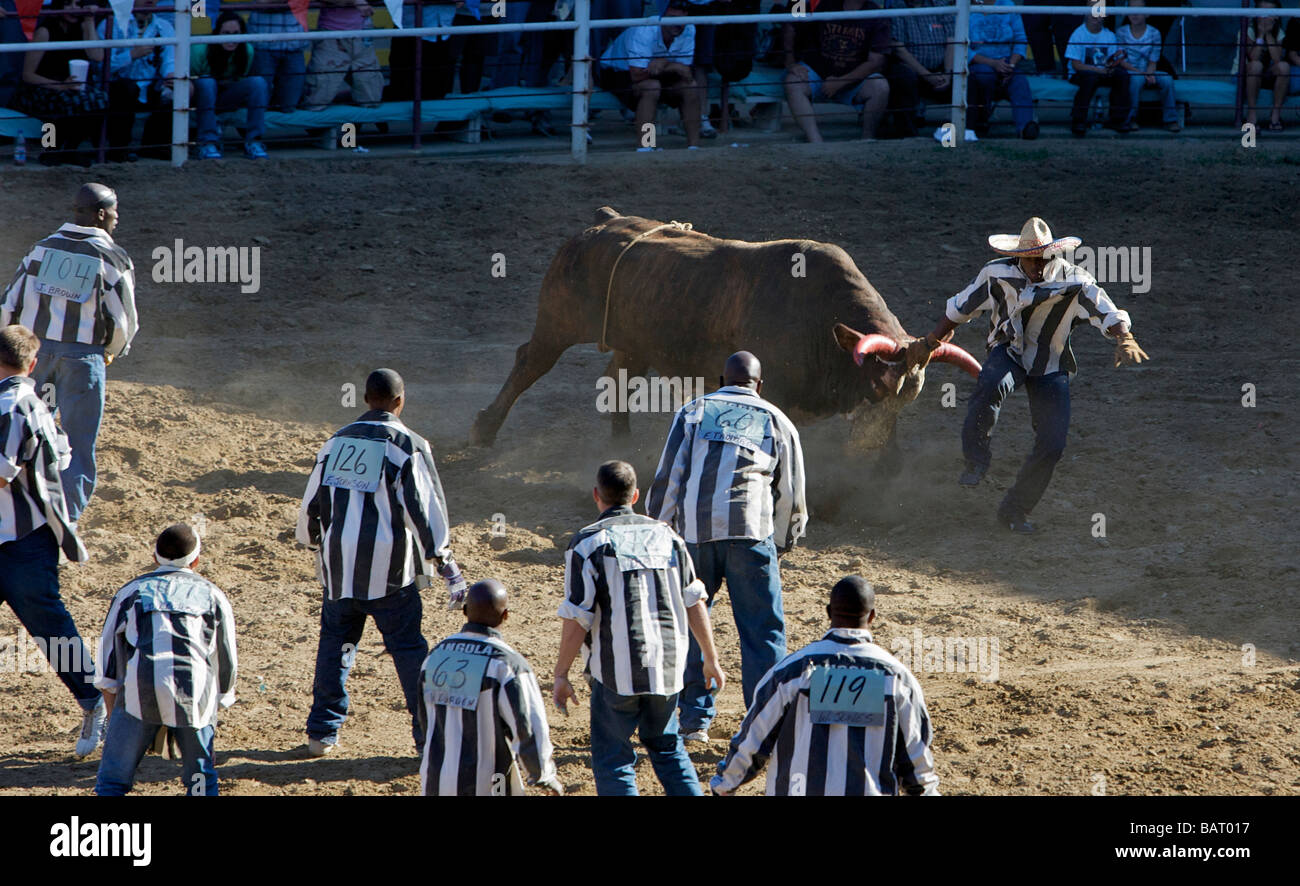 US ANGOLA - Louisiana State Prison Rodeo PHOTO GERRIT DE HEUS Stock ...