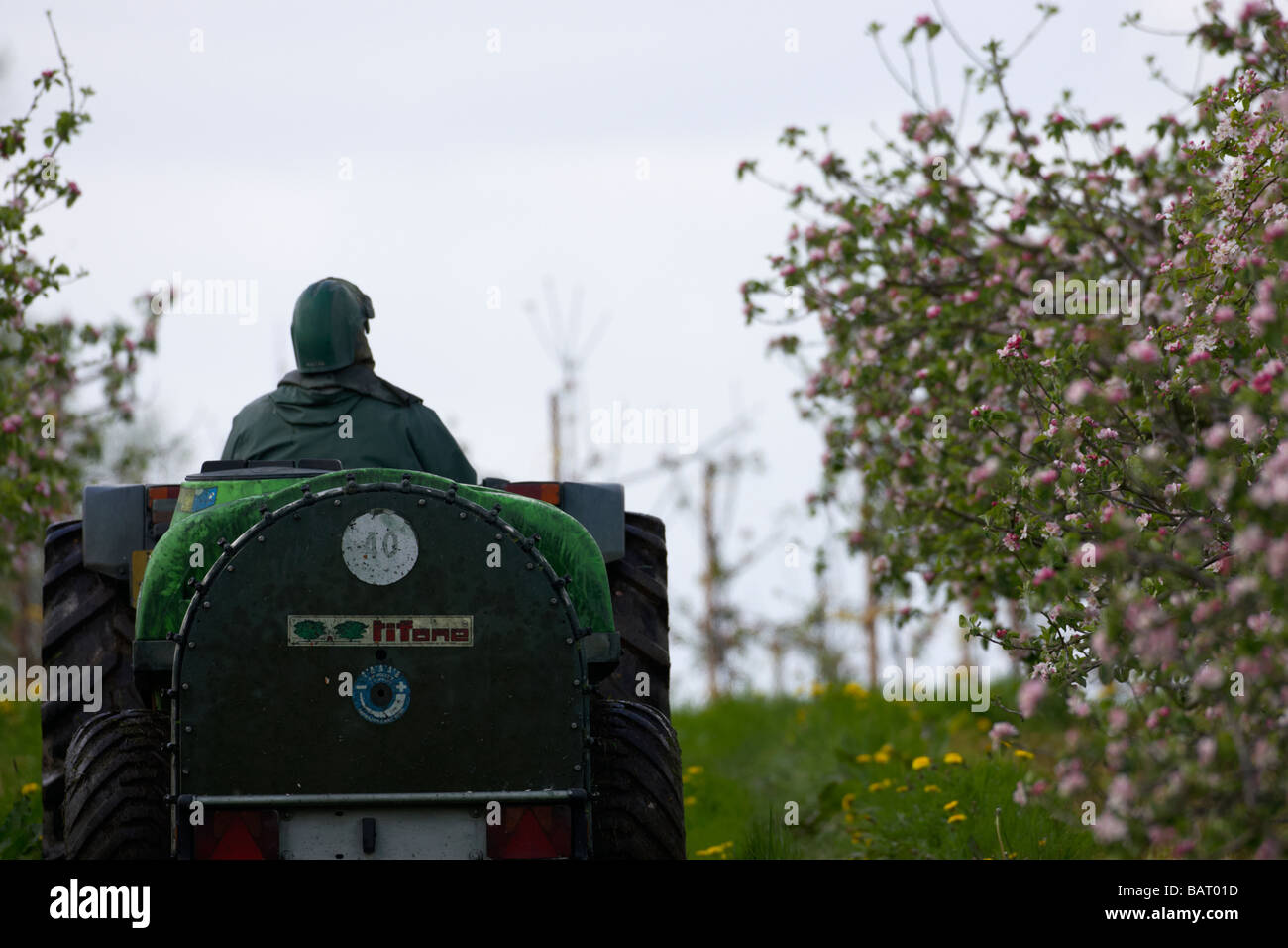 farmer spraying apple trees with pesticide during apple blossoms in ...