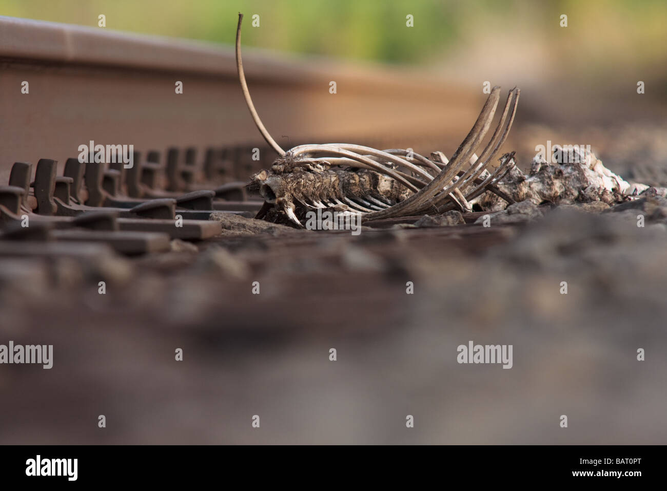 Railroad rail tie spike hi-res stock photography and images - Alamy