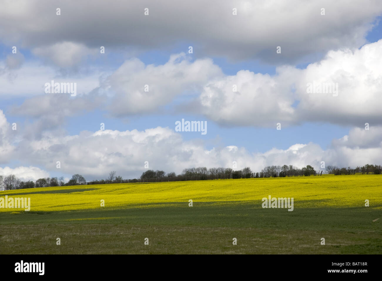 A view of farm land in Kent Stock Photo - Alamy