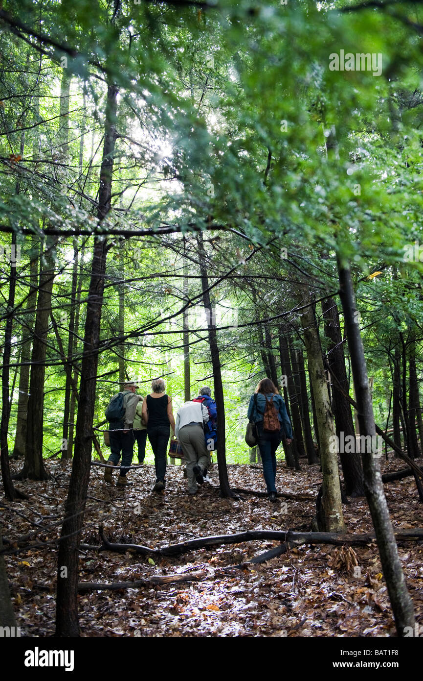 Group of people in the forest hi-res stock photography and images - Alamy