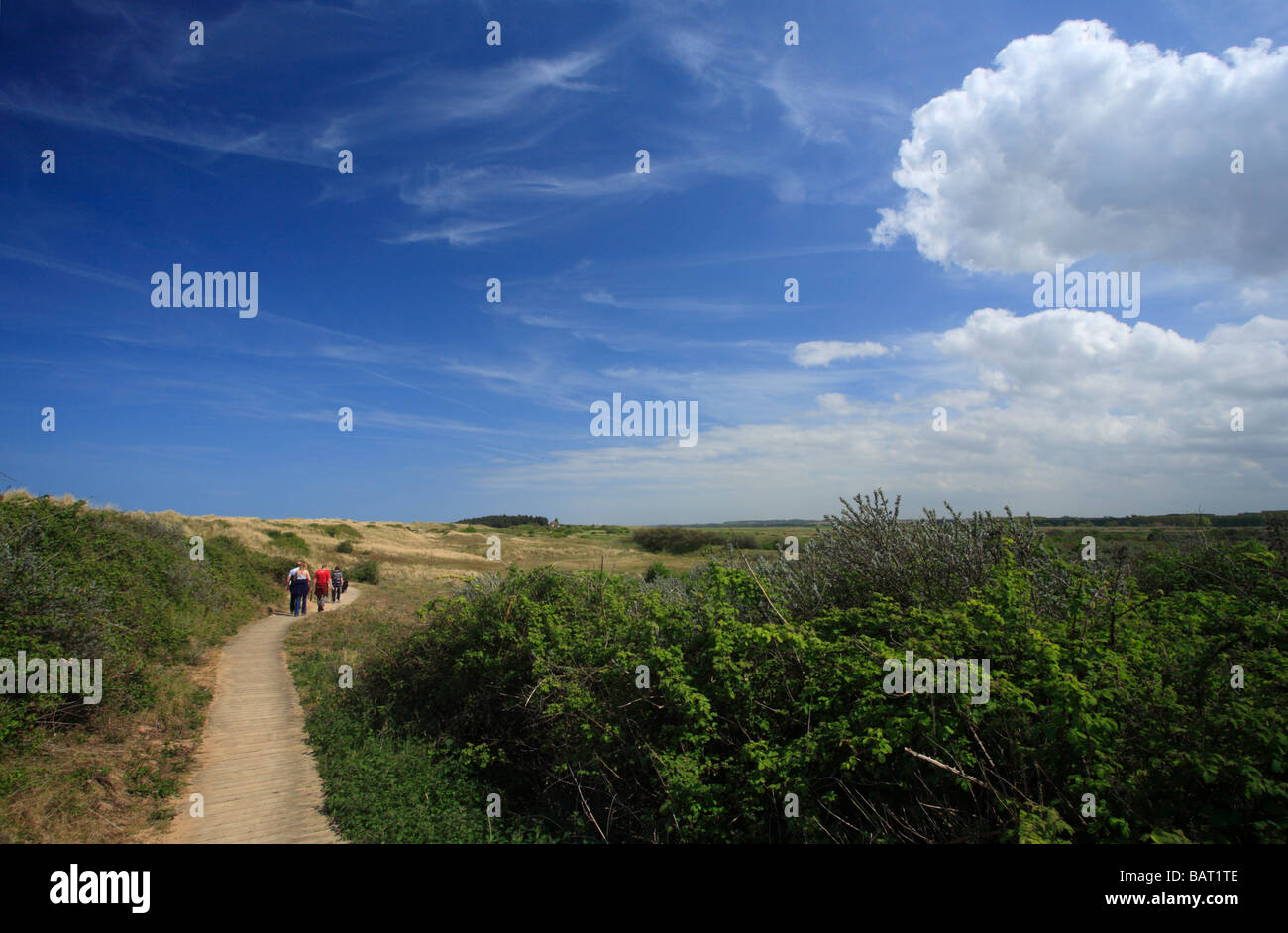 Path leading through Holme Dunes nature reserve with four walkers Stock ...