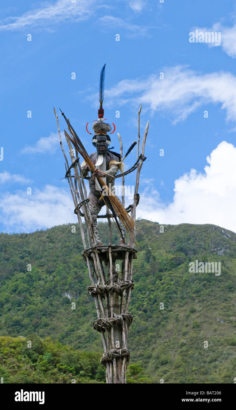 Arrow plumage hi-res stock photography and images - Alamy