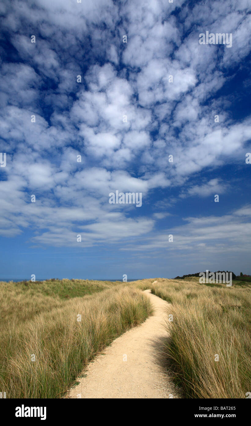 Path leading through Holme Dunes nature reserve Stock Photo - Alamy