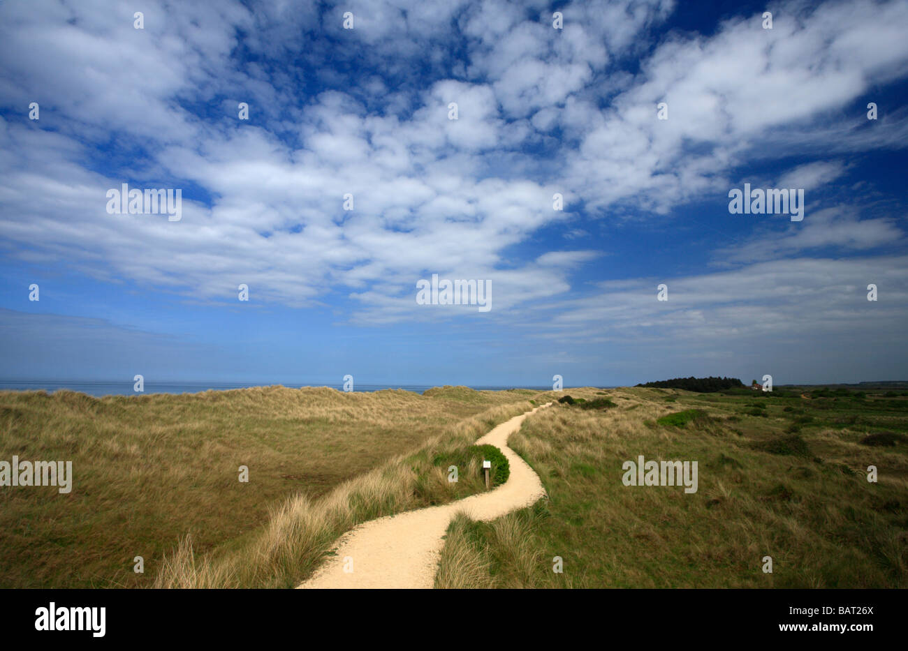 Path leading through Holme Dunes nature reserve Stock Photo - Alamy