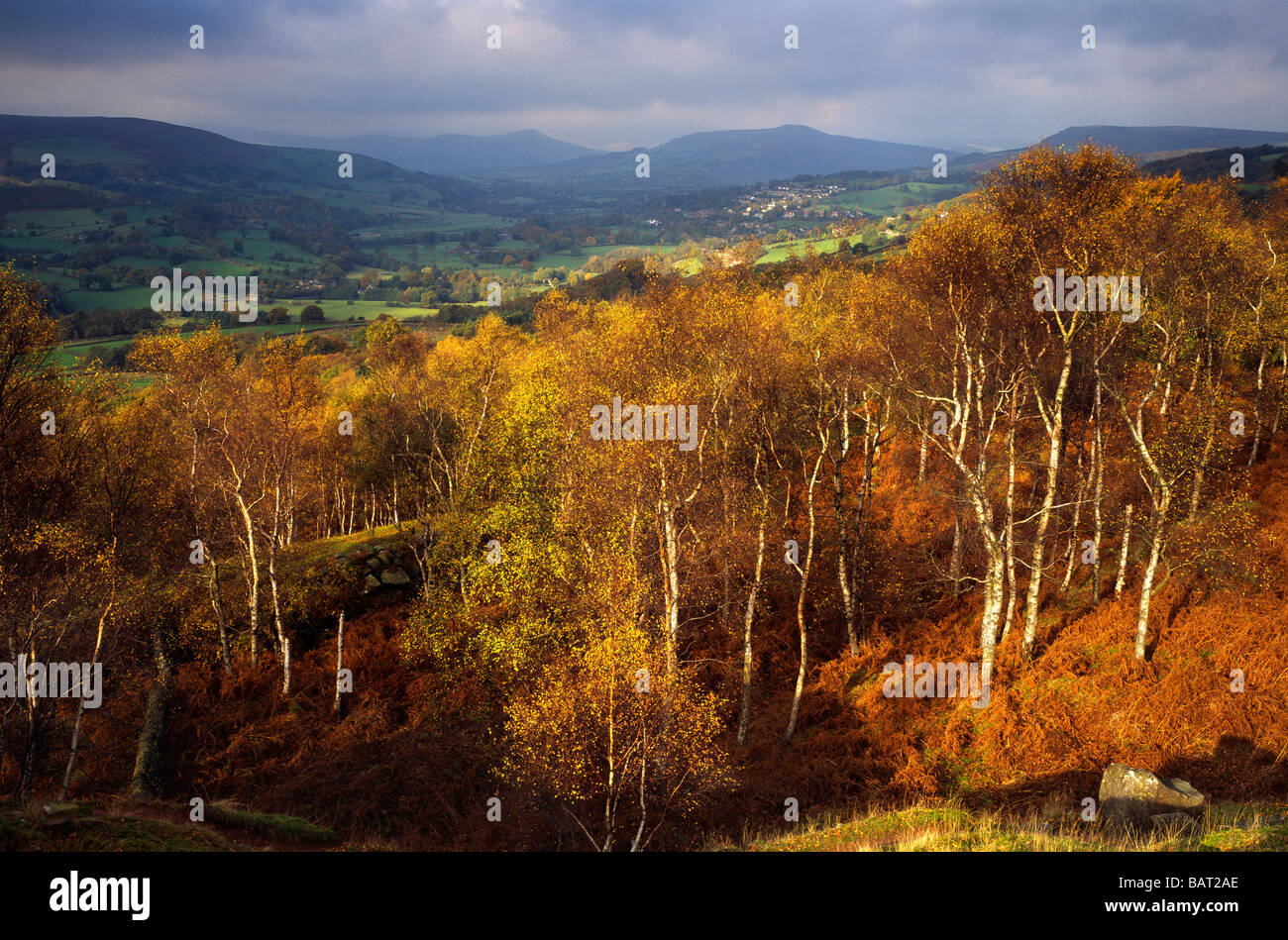 Oxhey High Resolution Stock Photography and Images - Alamy