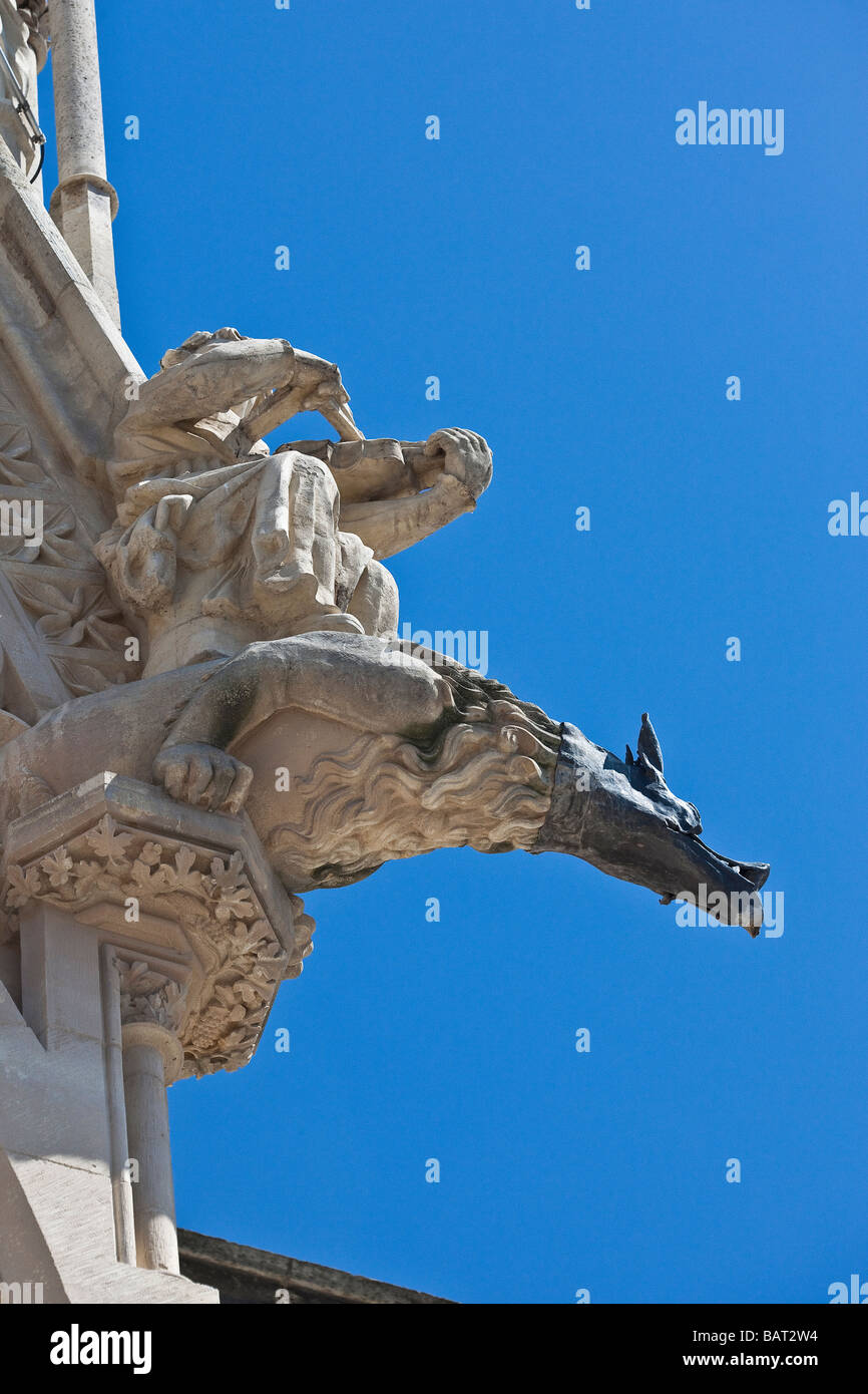 Gargoyle architecture grotesque medieval hi-res stock photography and ...