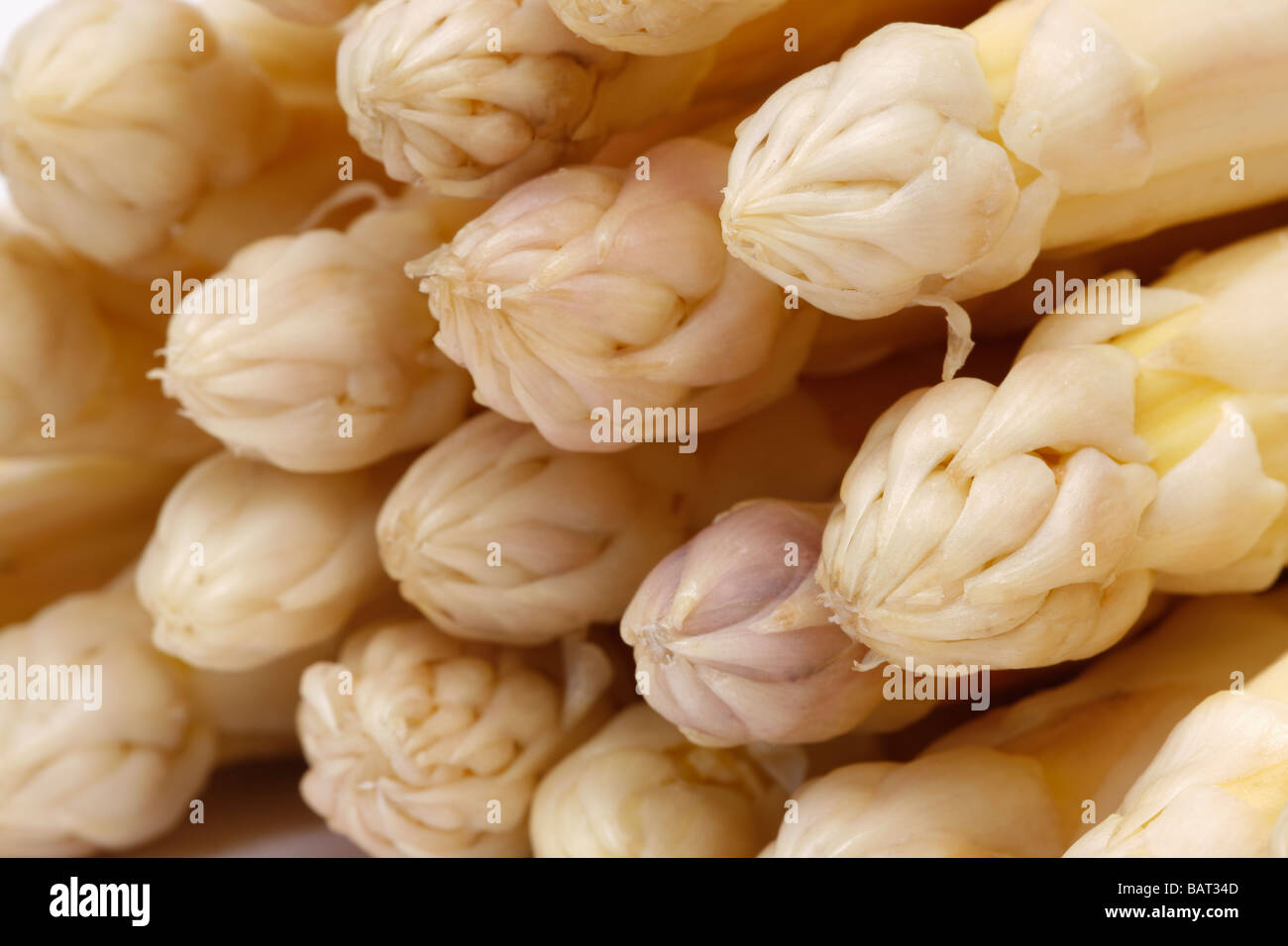 Asparagus spear uk hi-res stock photography and images - Alamy