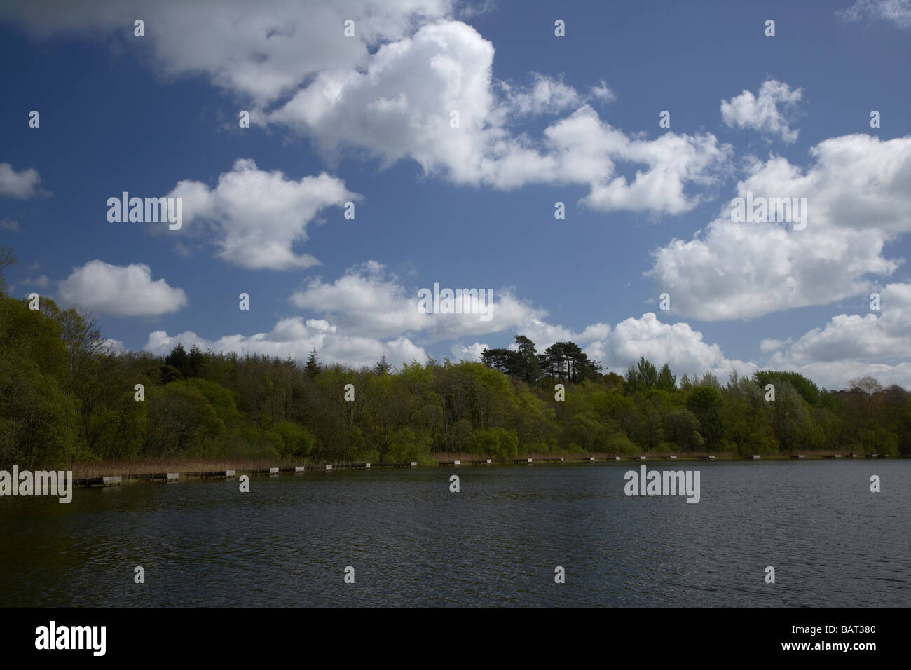 Lough Gall coarse fishery lake in loughgall country park county armagh ...