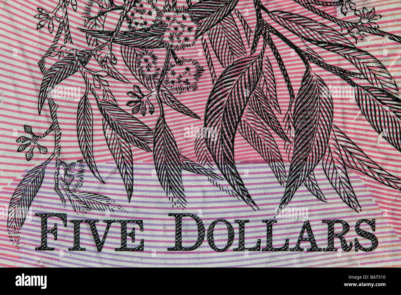 5 dollar note australian hi-res stock photography and images - Alamy