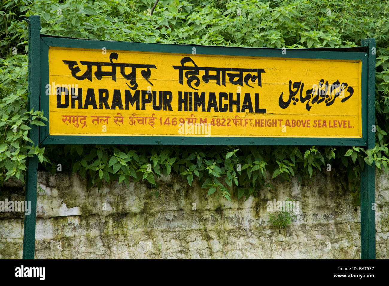 Dharampur station sign on the Kalka-Shimla Railway. Shimla, India Stock ...