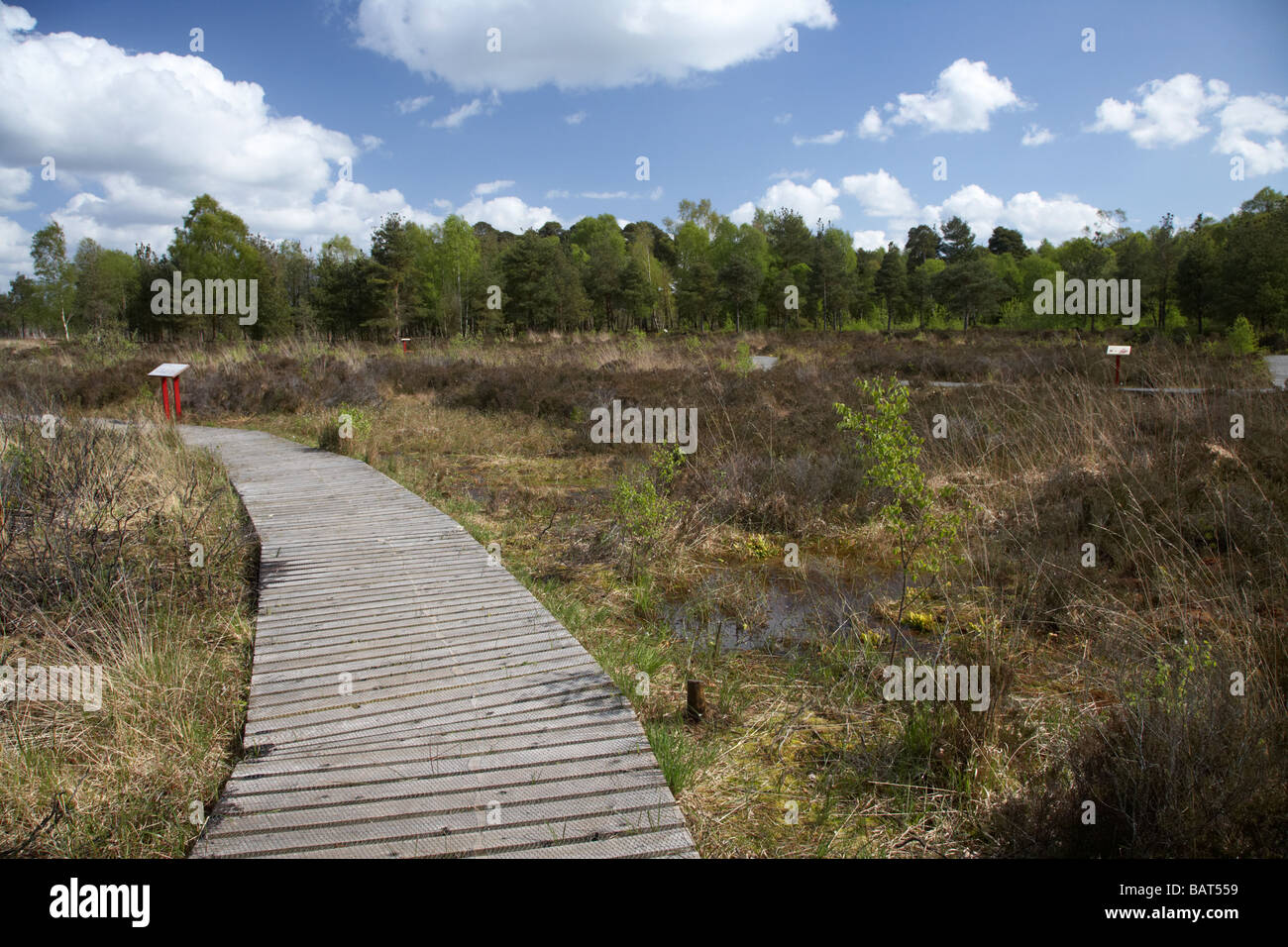 Peatlands walk hi-res stock photography and images - Alamy