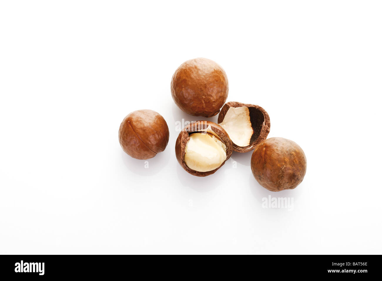 Macadamia nuts in shells hi-res stock photography and images - Alamy