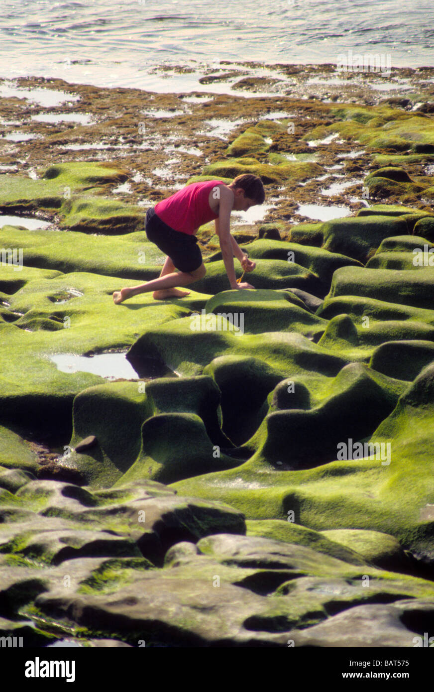 Tide tidal pool ocean beach sea surf water nature Stock Photo - Alamy