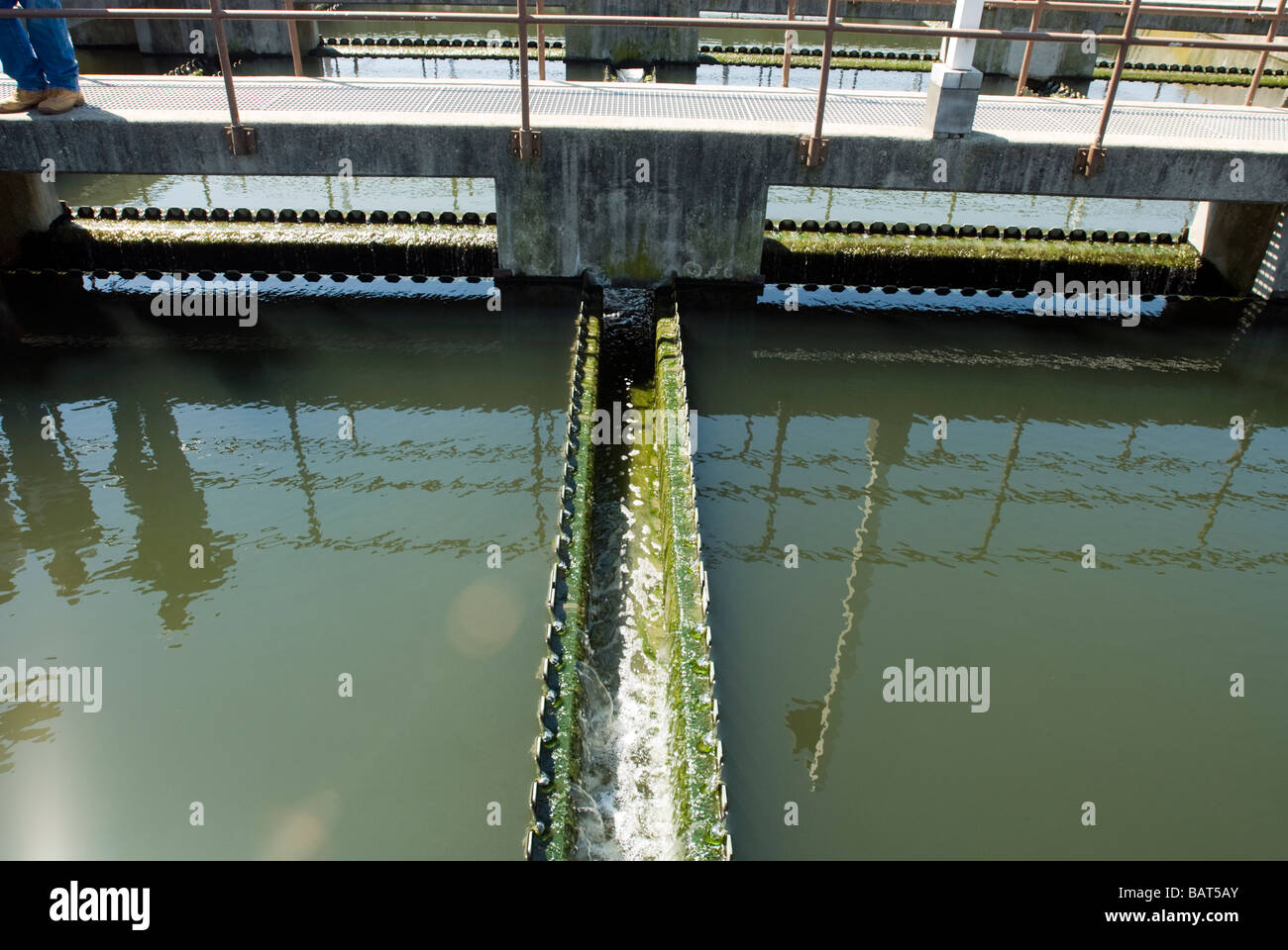 Final sludge removal tanks at Yonkers Sewage Treatment Plant in the ...