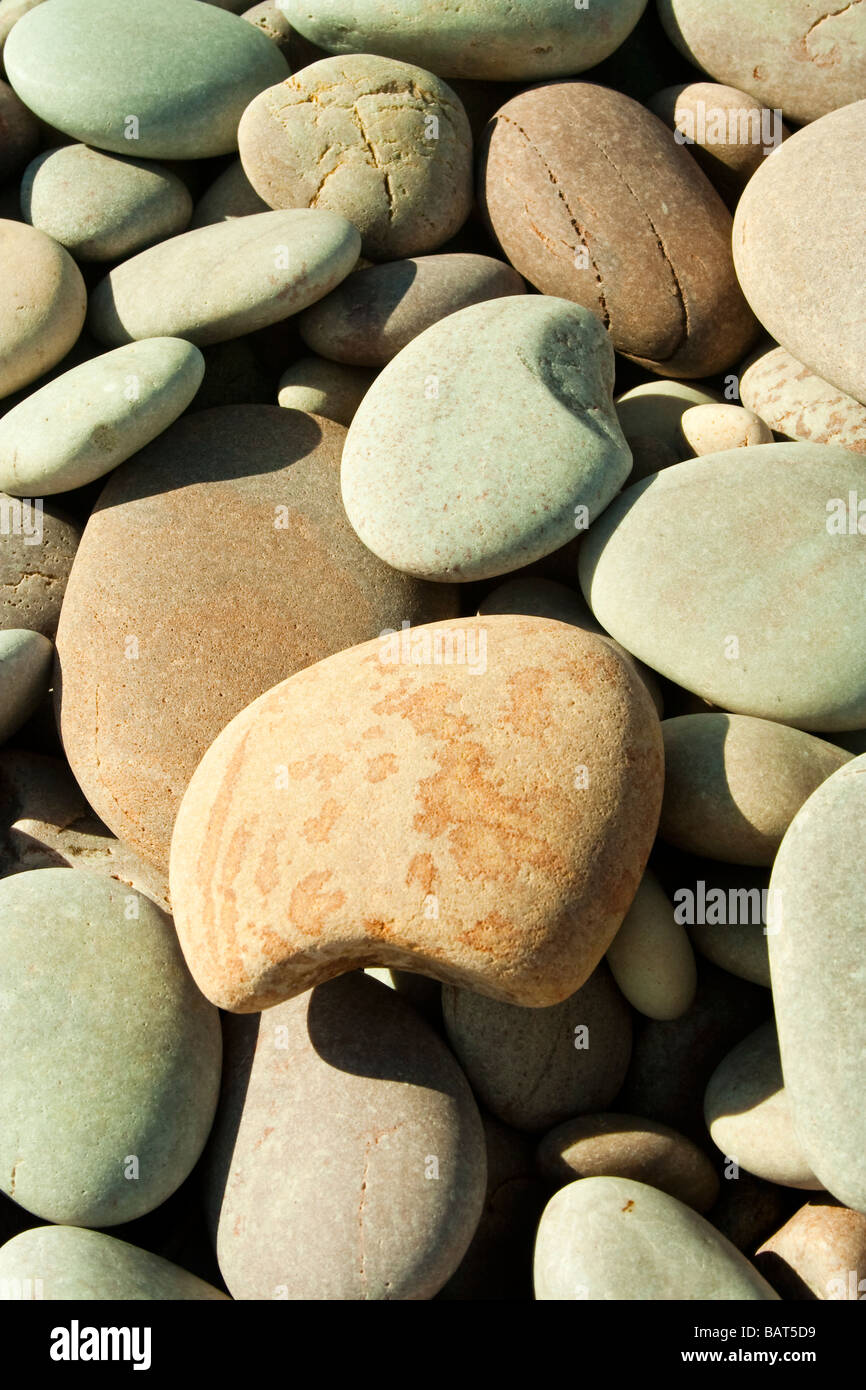 Portrait of Coloured pebbles on a Dorset beach in the summer time Stock ...