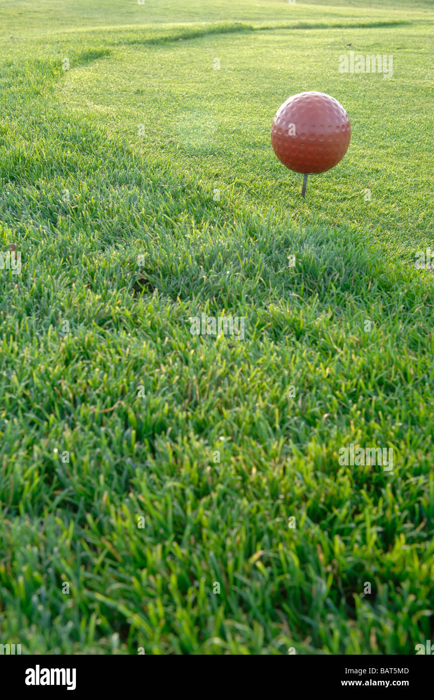 Golf ball on golf course, close-up Stock Photo - Alamy