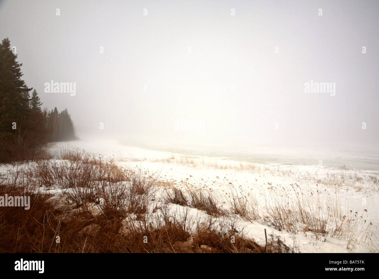 Misty Morning Lake in Spring Saskatchewan Stock Photo - Alamy