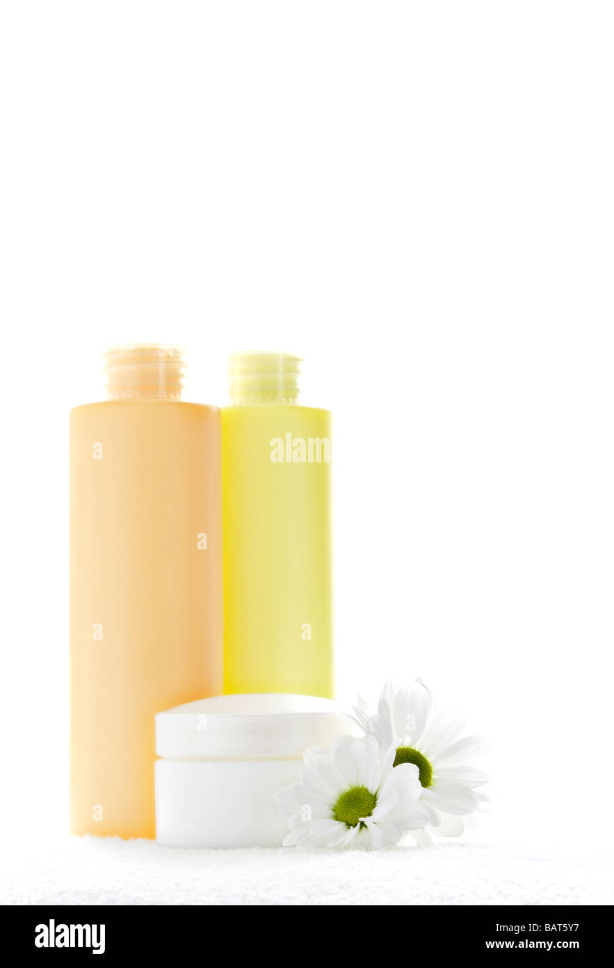 Care plants Cut Out Stock Images & Pictures - Alamy