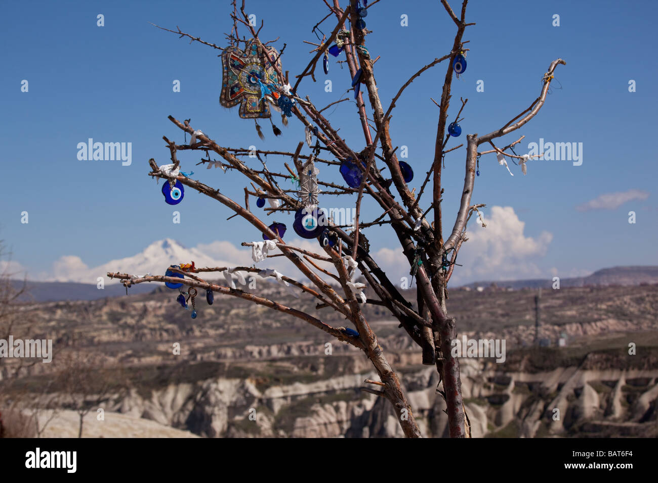 Evil eye charms hanging from a barren tree in Cappadocia Turkey Stock ...