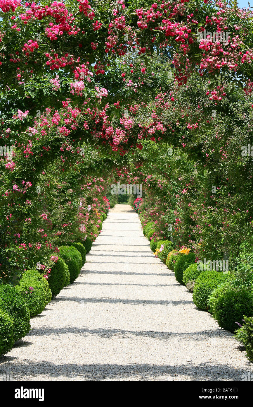 Rose Arch In the Garden Stock Photo - Alamy