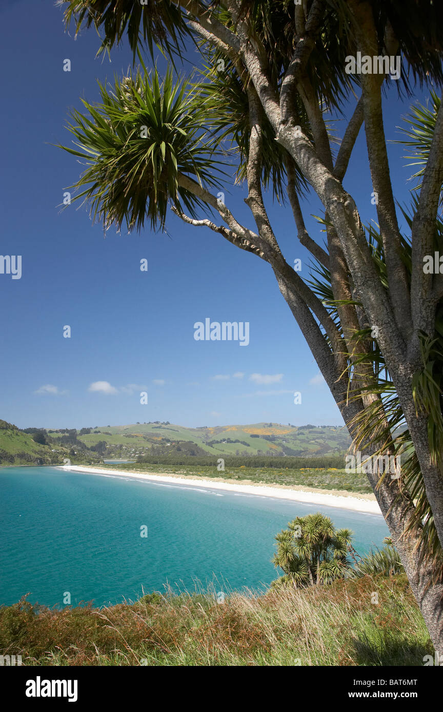 Historic maori pa site hi-res stock photography and images - Alamy