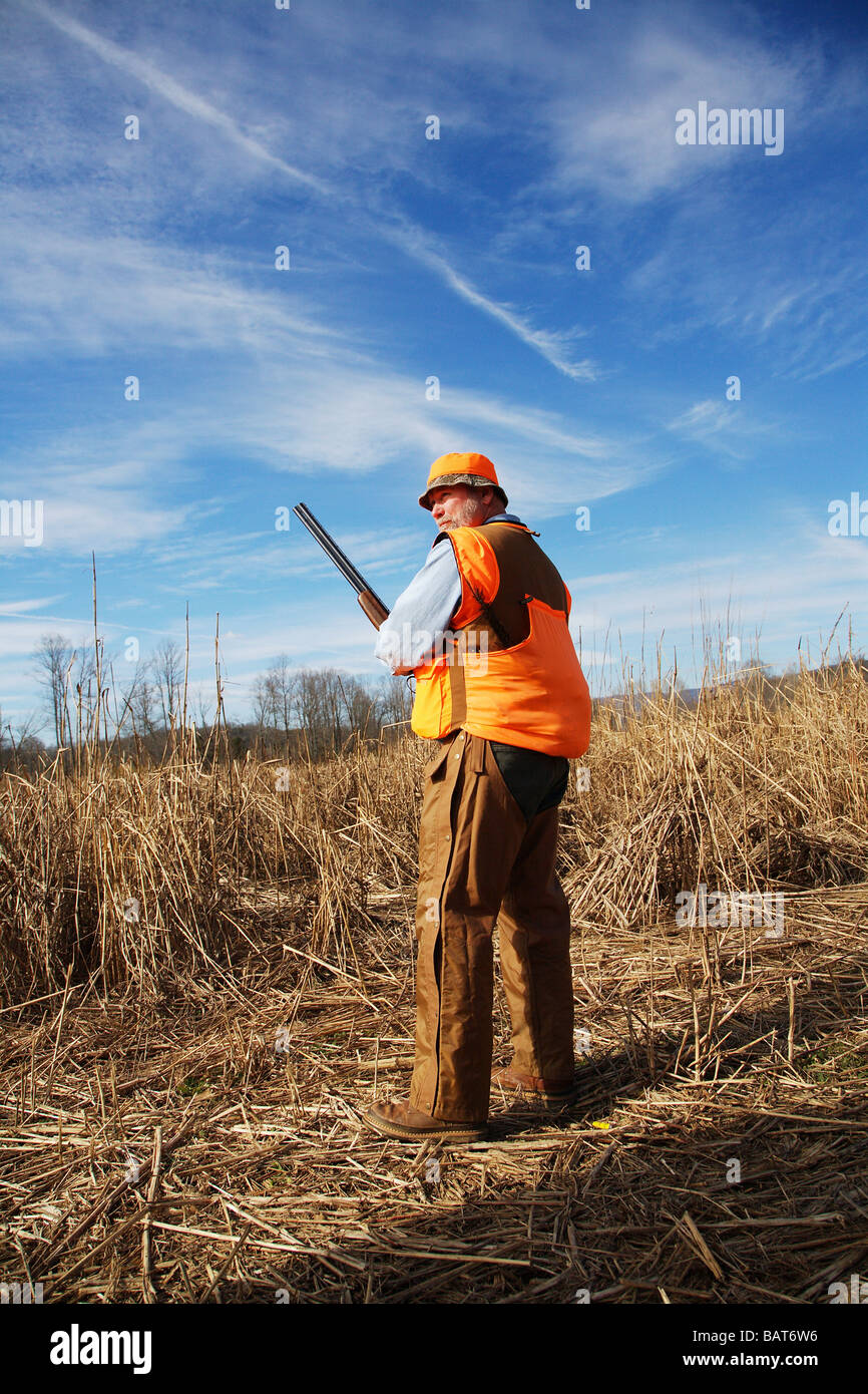 HUNTER WAITS FOR BIRD FLUSH GUN IN READY POSITION STOEGER 20 GAUGE ...