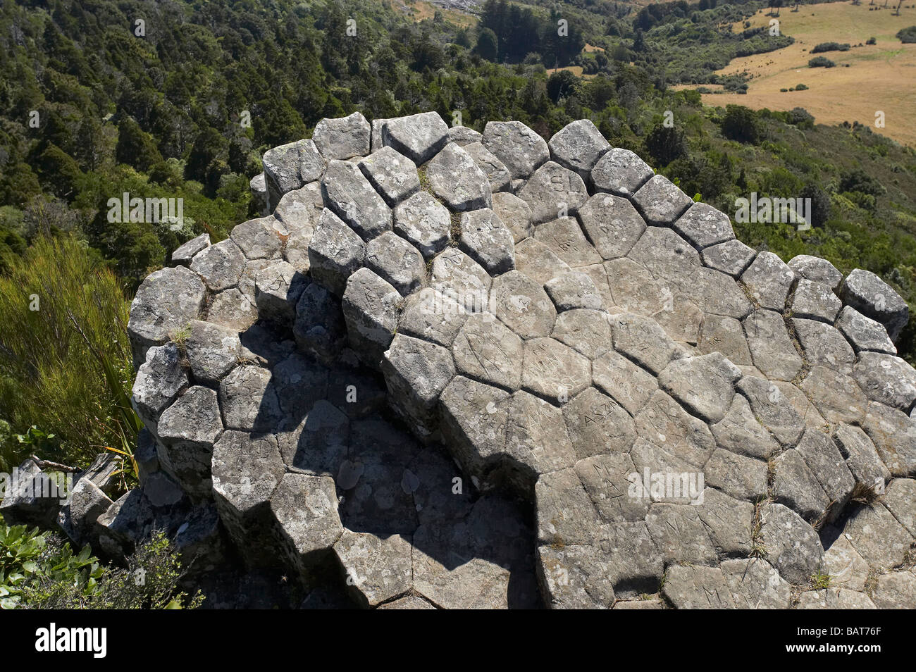 The Organ Pipes volcanic basalt rock columns Mt Cargill Dunedin Otago ...