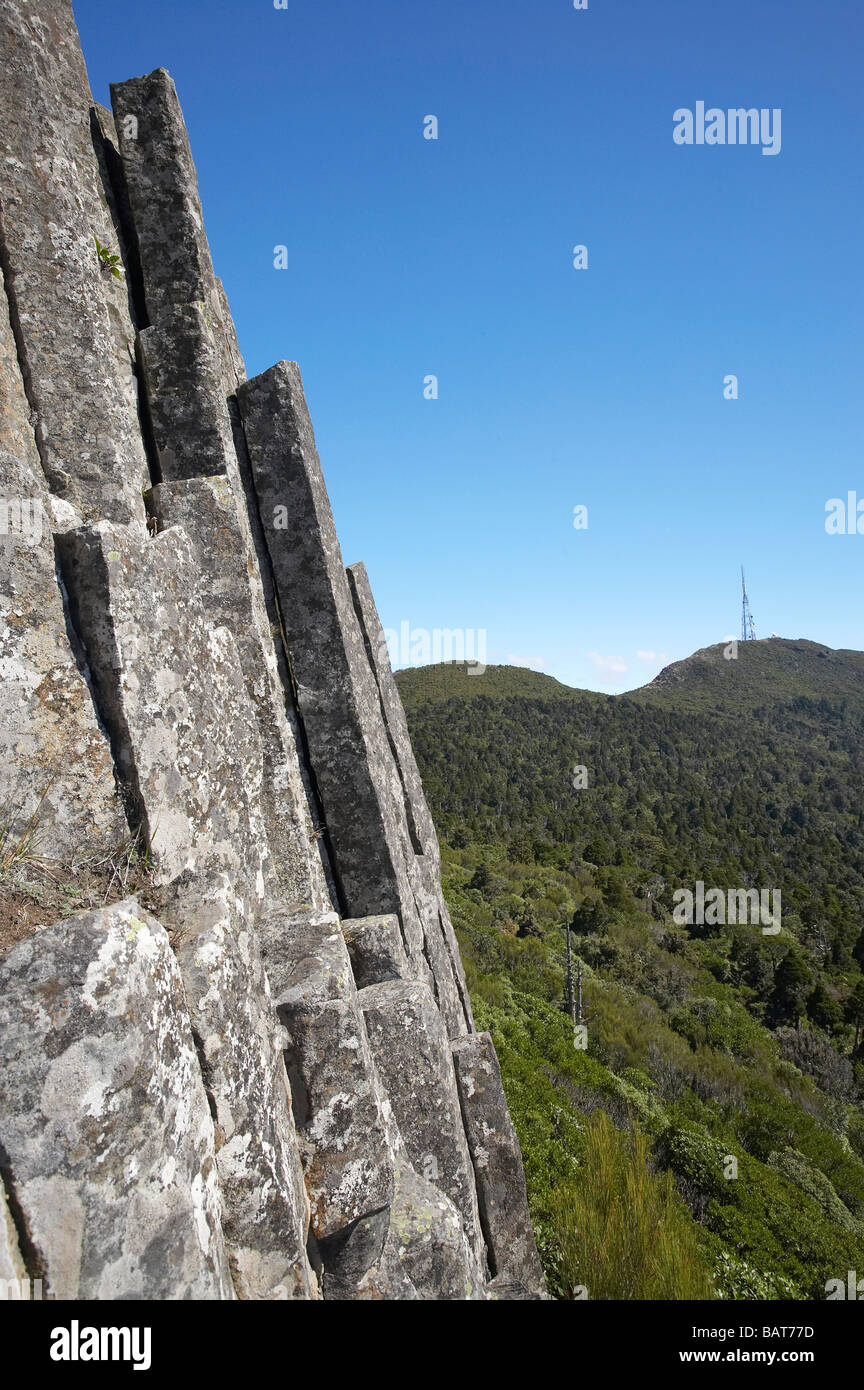 The Organ Pipes volcanic basalt rock columns Mt Cargill Dunedin Otago ...