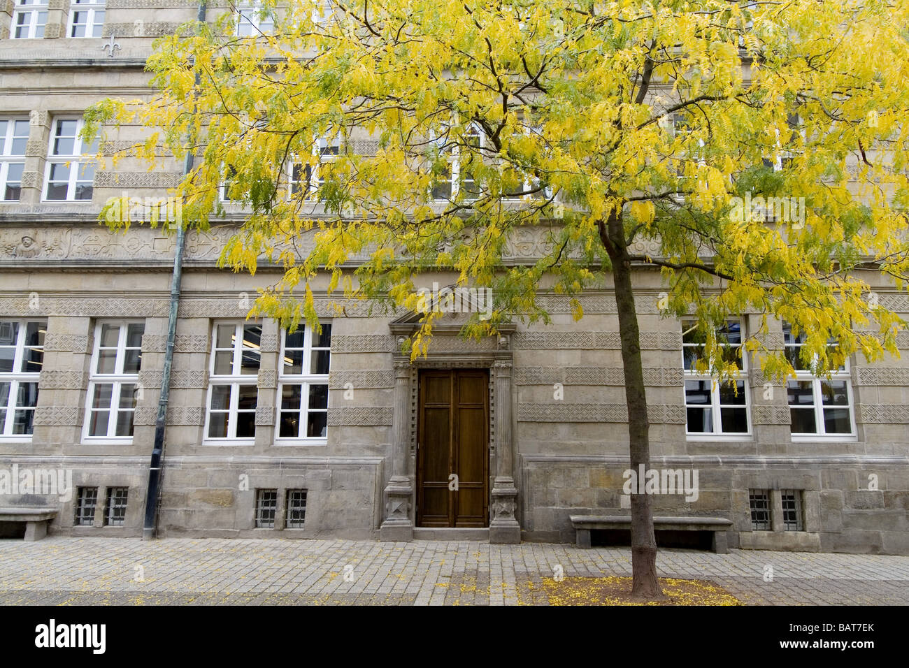 Front view of a building with tree Stock Photo - Alamy