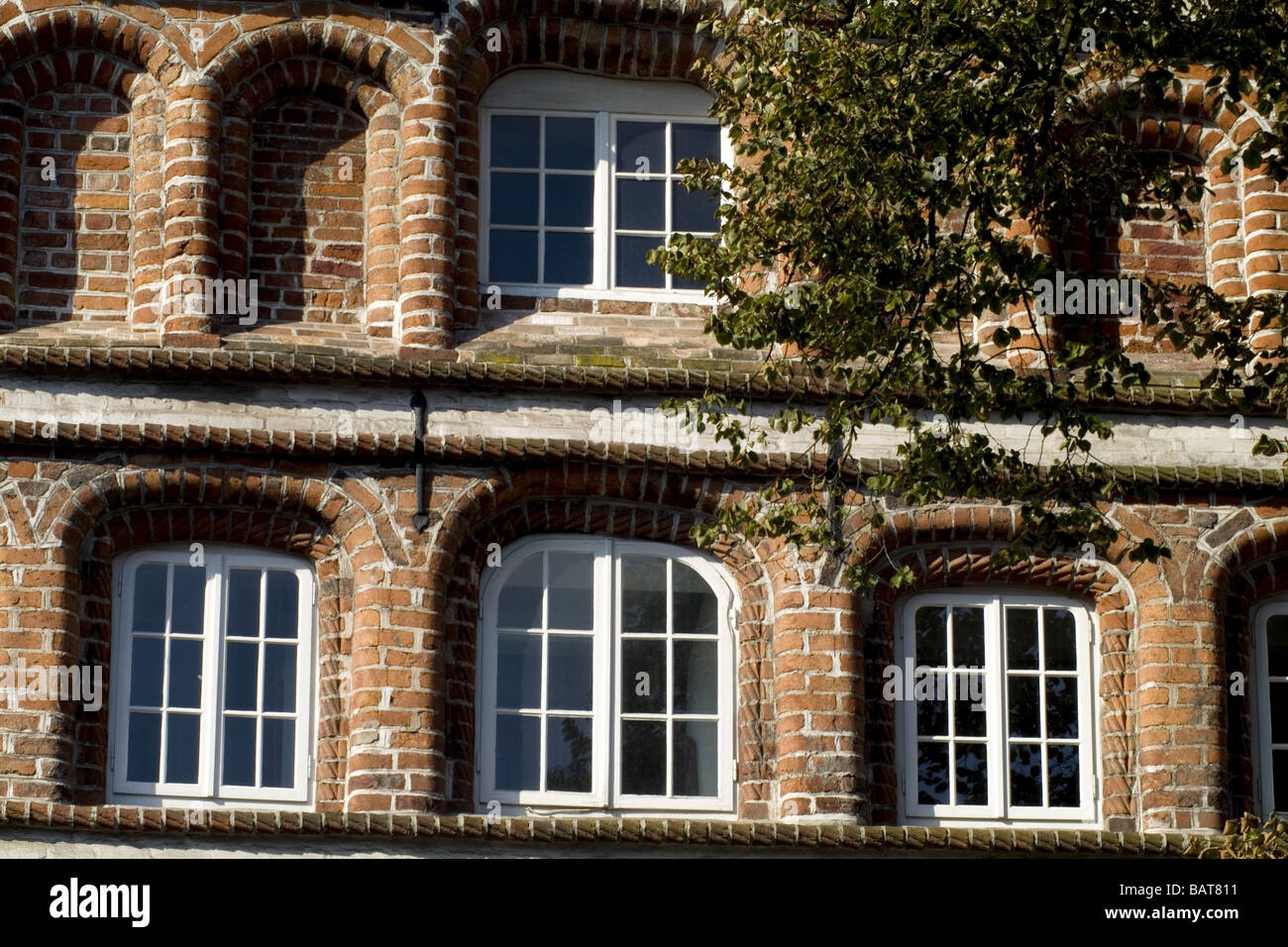 Windows of a building with tree Stock Photo - Alamy
