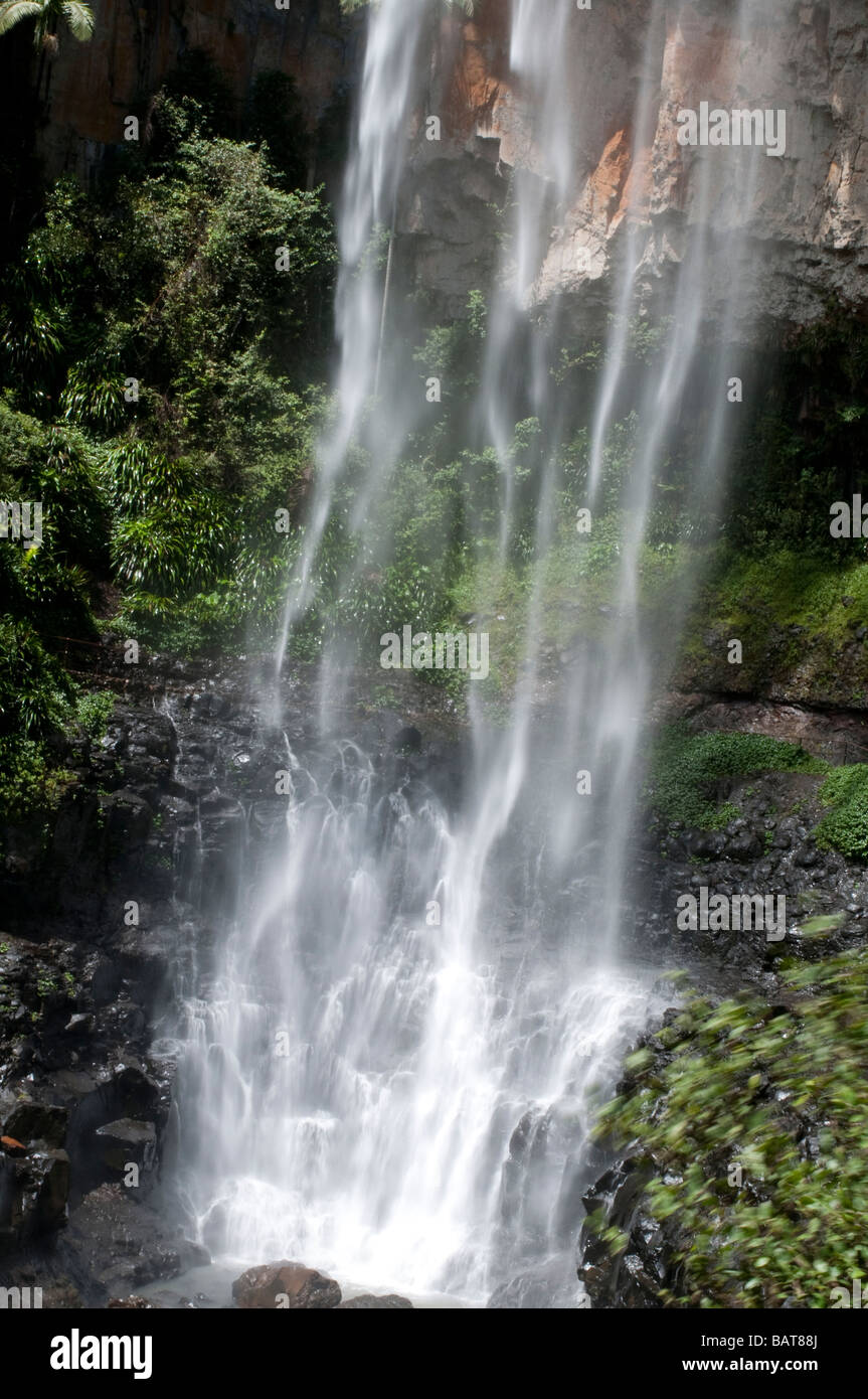 Purlingbrook Falls Springbrook National Park Queensland Australia Stock ...