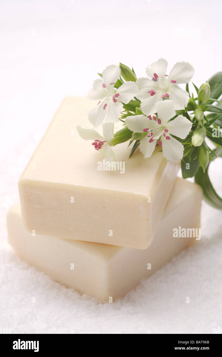 Two bars of soap Stock Photo - Alamy