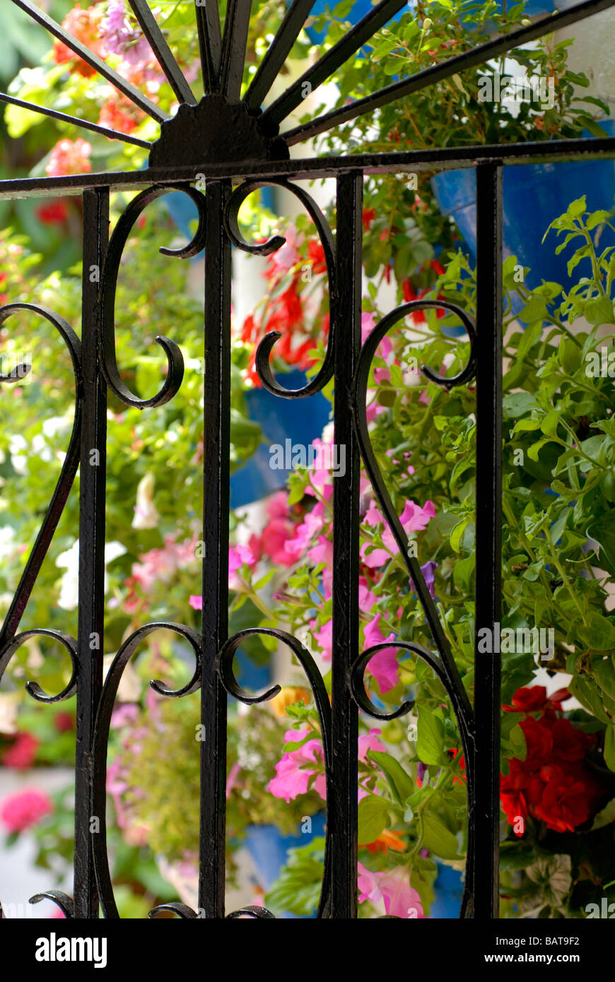 Andalucia Patio Patios de Mayo flowers in bloom Spain Spanish Patios ...