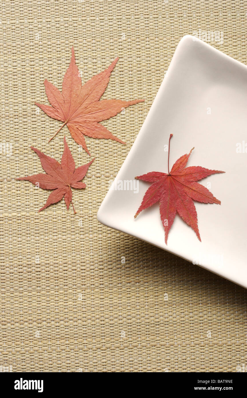 Still life with white plate and maple leaf Stock Photo - Alamy