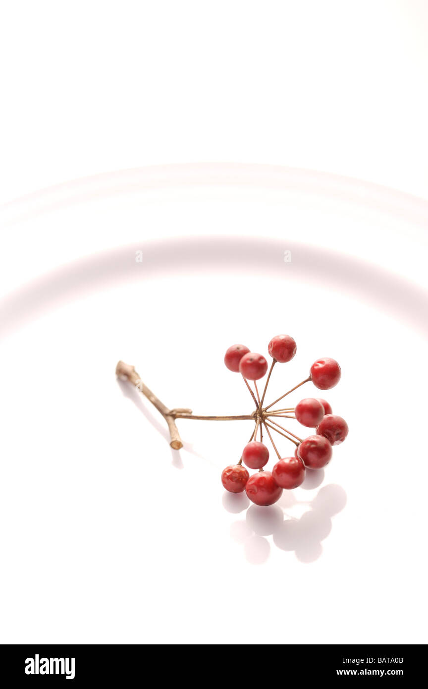 Japanese cherry fruits close up Stock Photo - Alamy