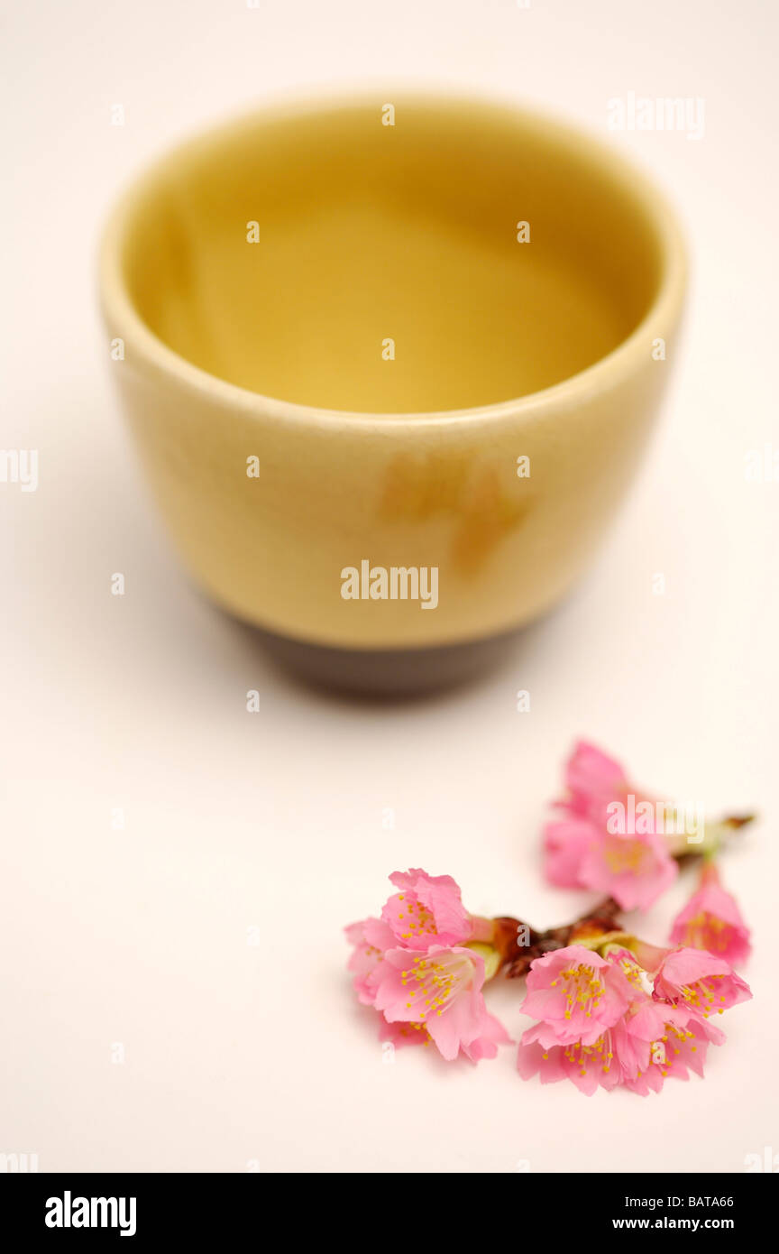 Japanese teacup and sakura blossom Stock Photo - Alamy