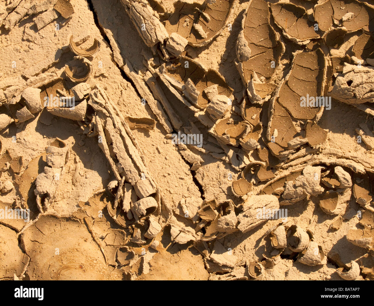Drought soil hi-res stock photography and images - Alamy