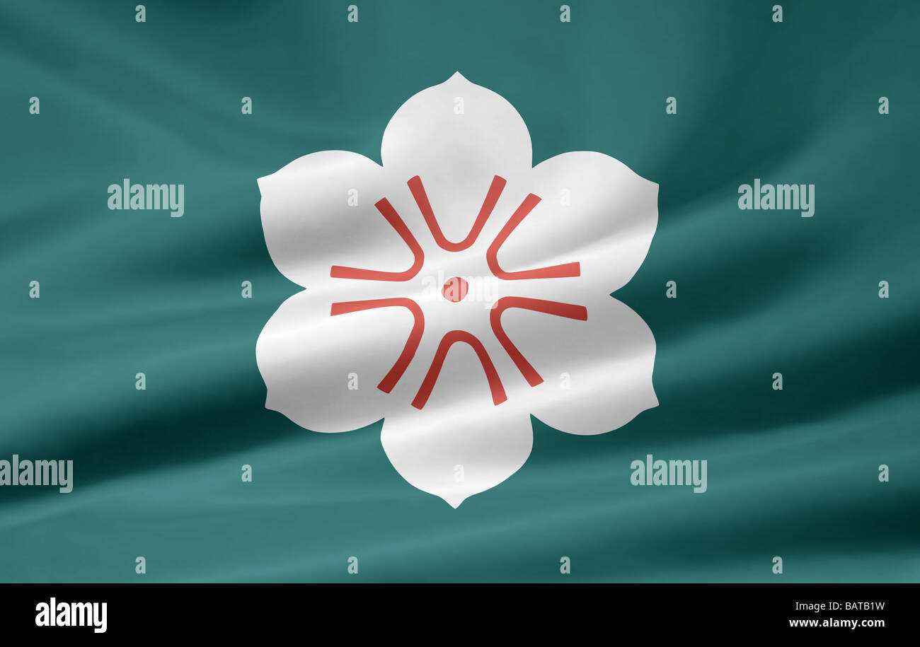 Very large flag of the japanese province of Saga Stock Photo - Alamy