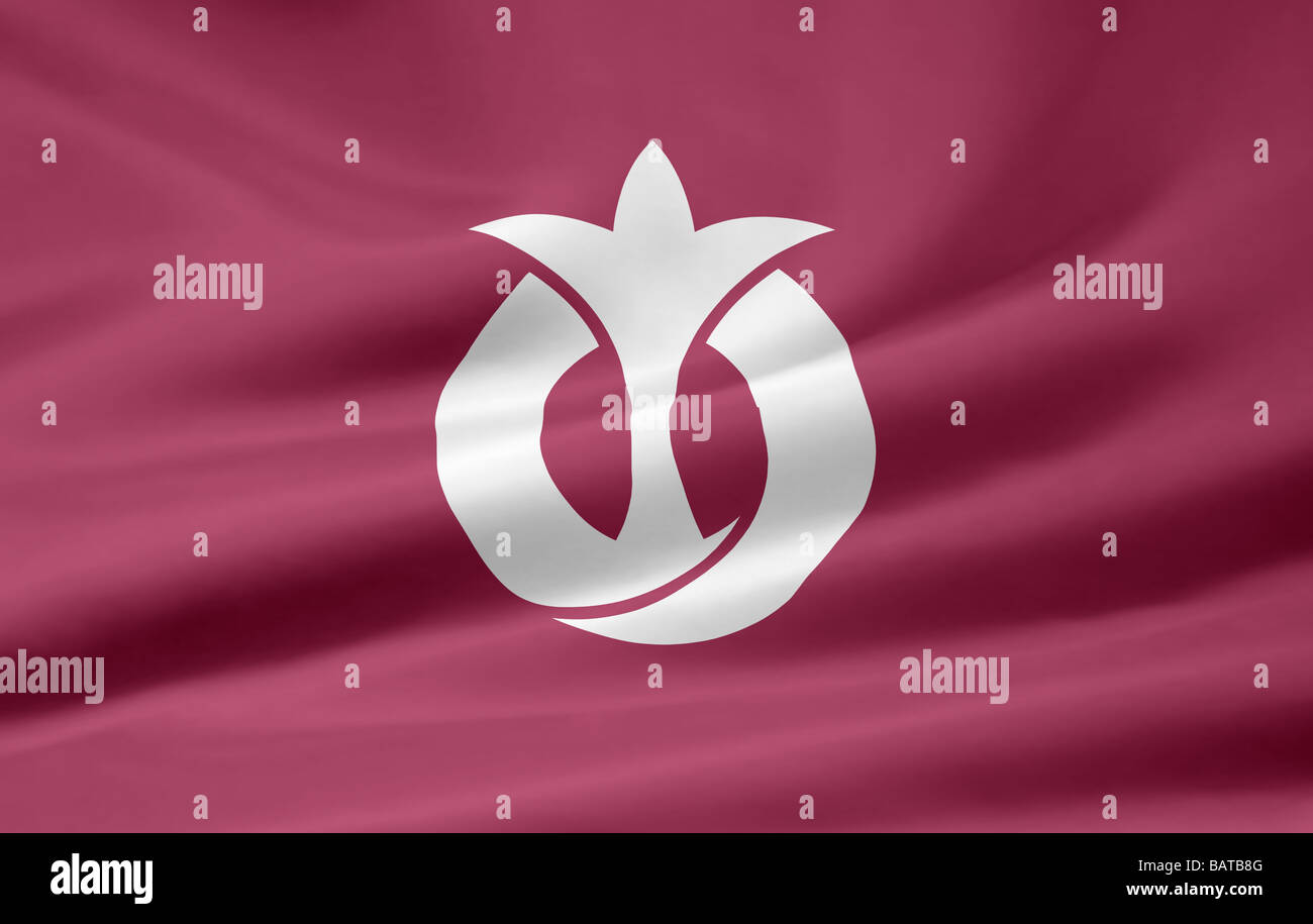 Nagoya flag hi-res stock photography and images - Alamy