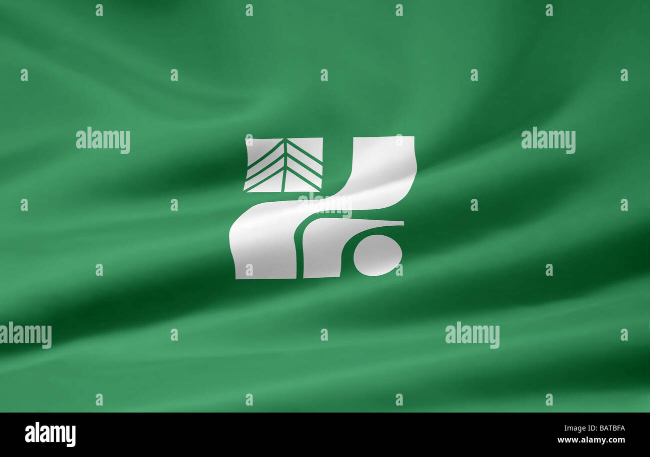 High resolution flag of the japanese province of Tochigi Stock Photo ...