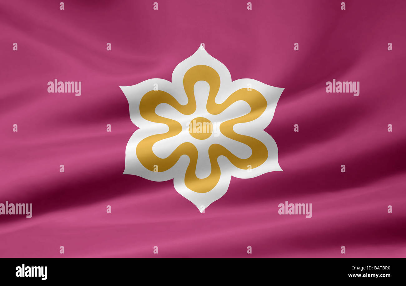 Tokyo japan official kansai hi-res stock photography and images - Alamy