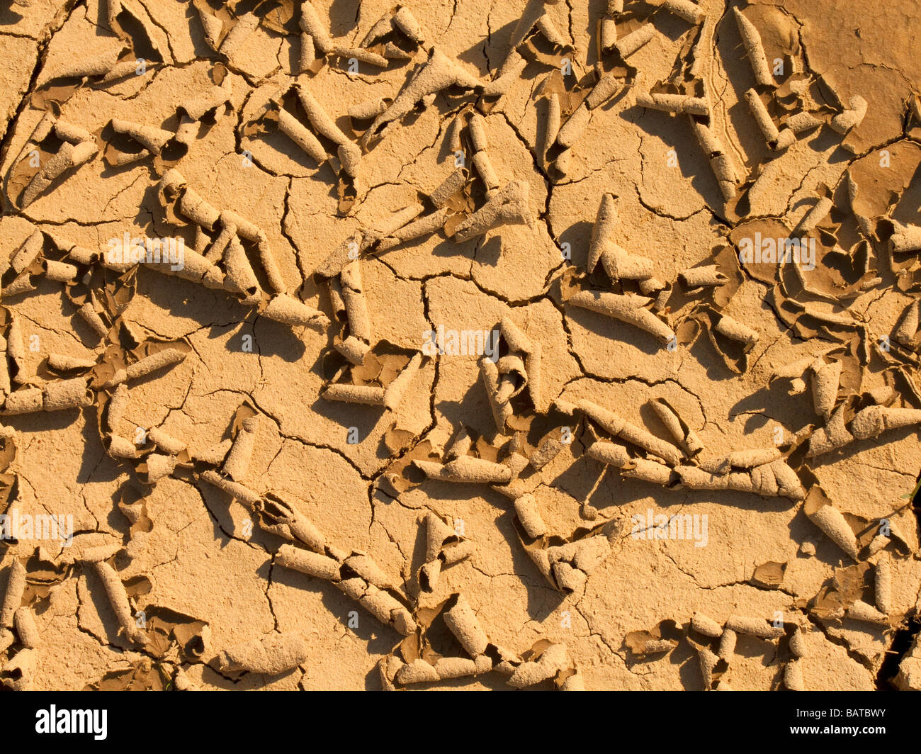 Soil cracks - drought - extreme dry weather Stock Photo - Alamy