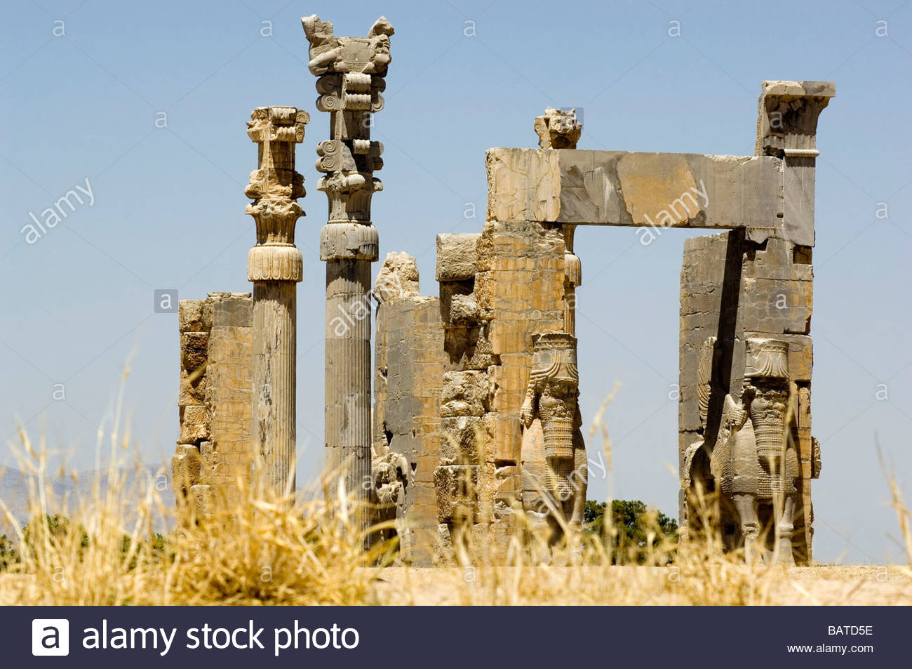 Bas Reliefs Ruins Persian Empire Persepolis High Resolution Stock ...