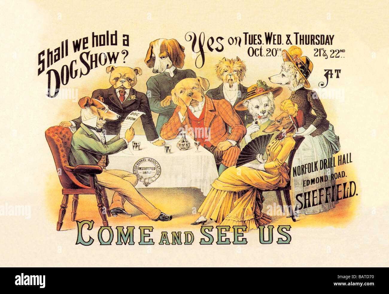 Anthropomorphic poodle hi-res stock photography and images - Alamy