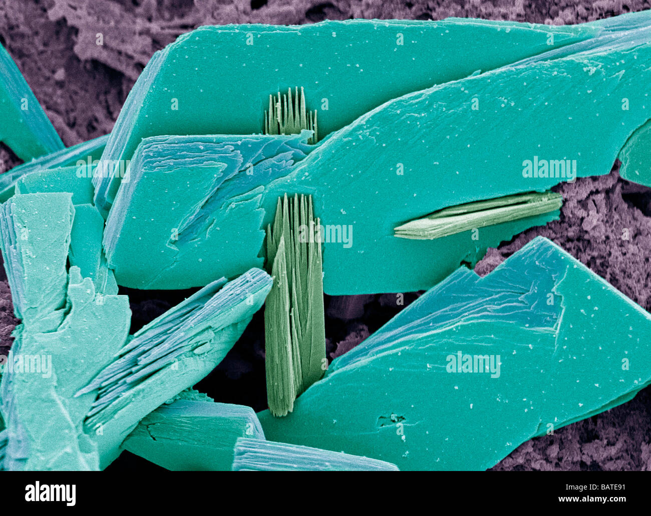 Albumen High Resolution Stock Photography and Images - Alamy