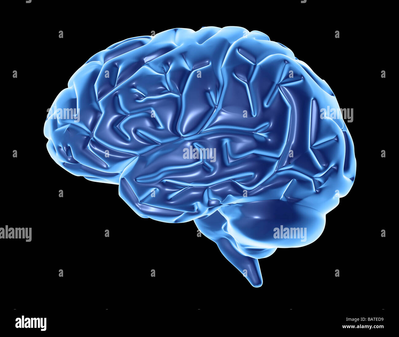 Left Brain Stock Photos & Left Brain Stock Images - Alamy