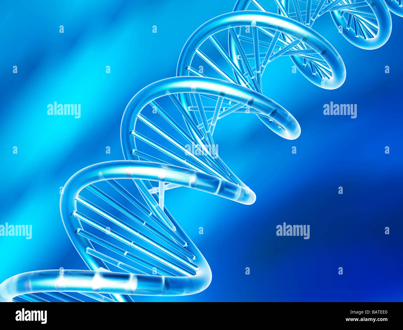 DNA molecule, computer artwork Stock Photo - Alamy
