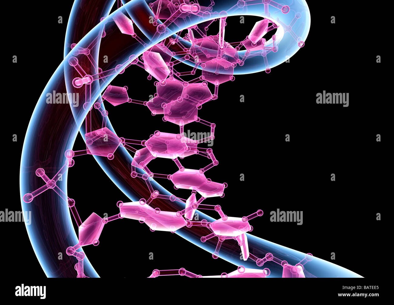 DNA molecule, conceptual computer artwork Stock Photo - Alamy